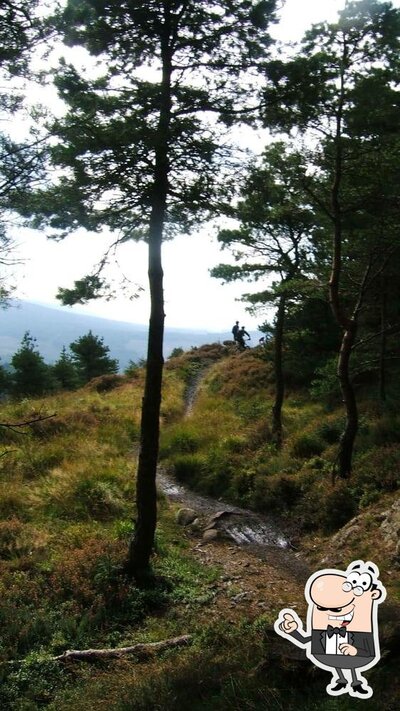 Kirroughtree Visitors Centre Cafe, Newton Stewart - Restaurant menu ...