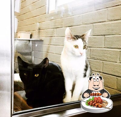 Moon Cat Cafe, Los Angeles, Florence - Restaurant menu, prices and reviews