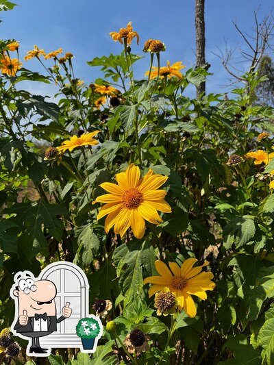 Citrus Trail Farm & Kitchen (Reservation mandatory, entry before 5.30 ...