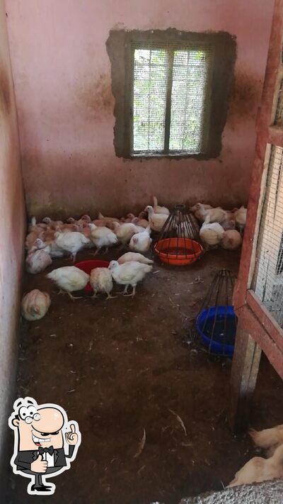 Mubarak Chicken Centre, Thiruvazhamkunnu - Restaurant menu, prices and ...