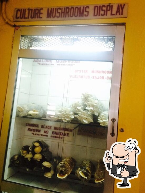 Menu at Mushroom Burger Haus restaurant, Bacoor