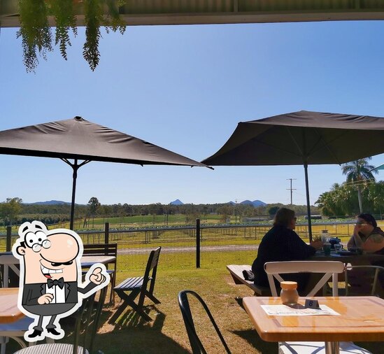 Strawberry View Coffee Shack in Bellmere - Restaurant reviews