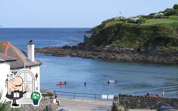 Rising Sun Inn in Portmellon - Restaurant reviews