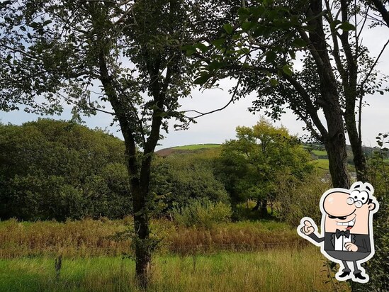 Dunvant farm shop & cafe in Llanelli - Restaurant reviews
