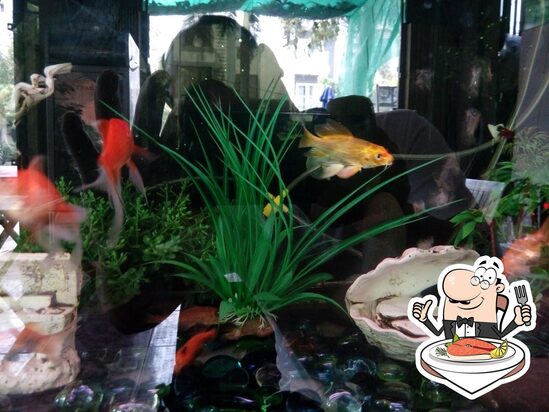 Coffee Sh, Ho Chi Minh City - Restaurant menu, prices and reviews
