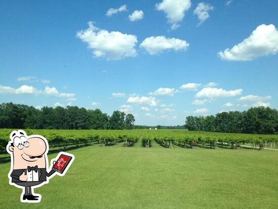 Hinnant Family Vineyards in Pine Level - Restaurant reviews