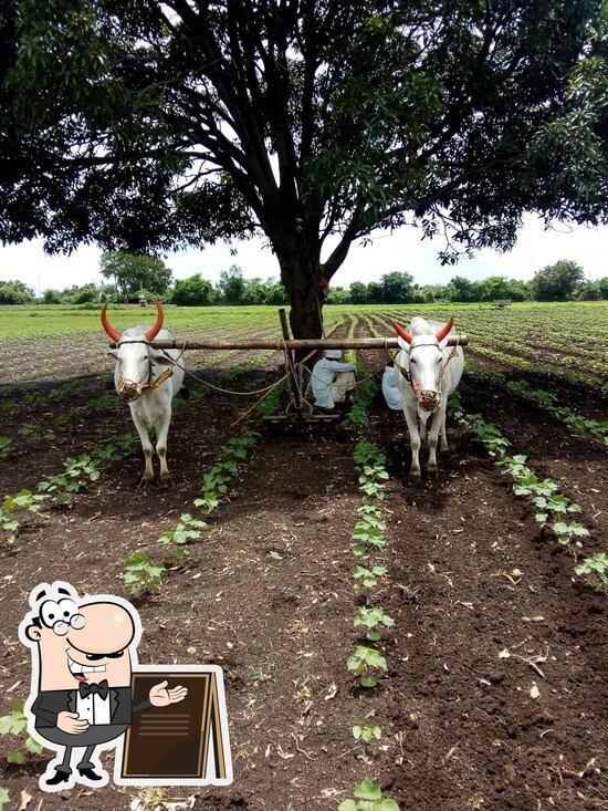 Sarvadhnya farm house, Amravati - Restaurant menu, prices and reviews