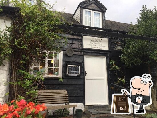 Menu at Triangle Inn pub & bar, Rhayader