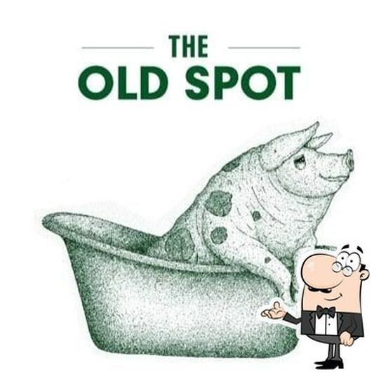 Menu at The Old Spot pub & bar, Dublin, 14 Bath Avenue