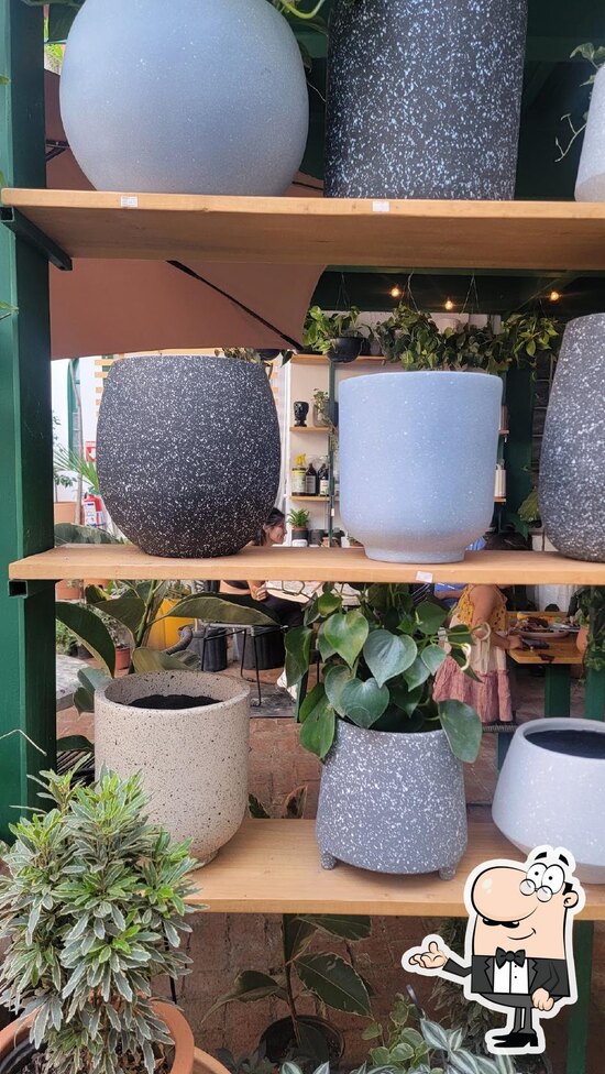 Carta de Ahuehuete Americana - Plantas y café, Guadalajara