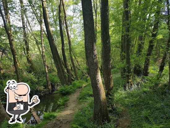 Tilgate Forest Golf Centre, Crawley - Restaurant menu, prices and reviews