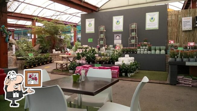 Stodels Cafe Bellville, Cape Town - Restaurant reviews