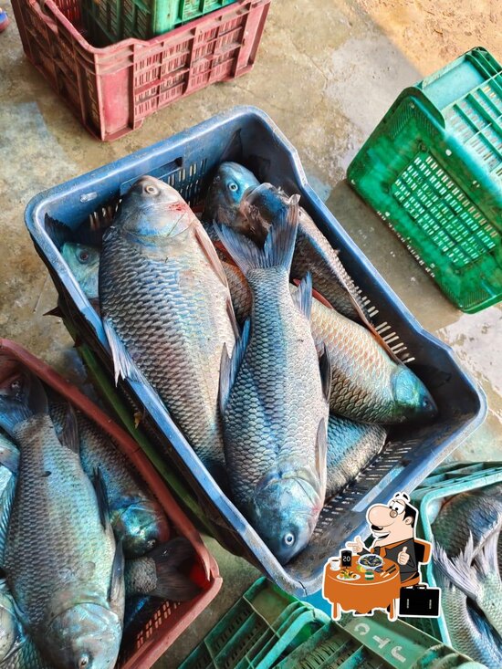 Master Fish Company, Kota - Restaurant menu, prices and reviews