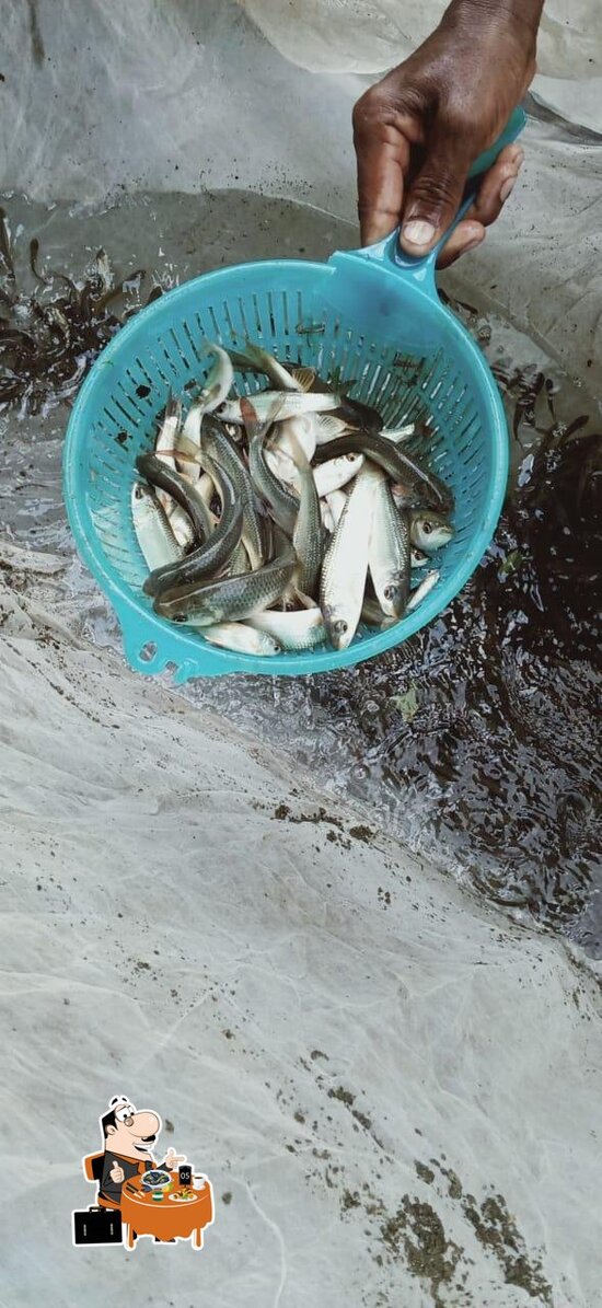 Menu at Chauhan fish farming, India