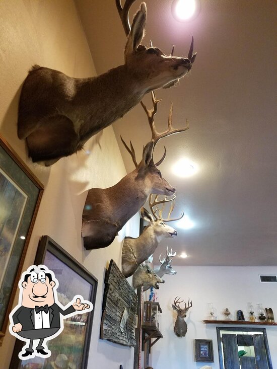 Antlers Cafe & Bar, Young - Restaurant menu, prices and reviews