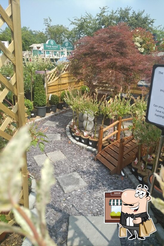 Dobbies Garden Centre Reading in Reading - Restaurant reviews