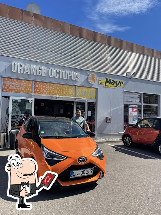 Orange Octopus Landsberg