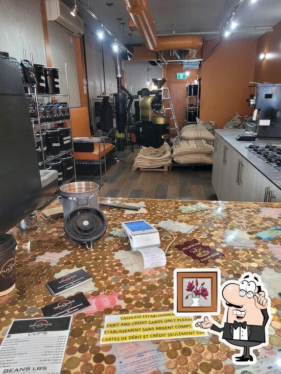 Opulence Coffee in Ottawa - Restaurant reviews