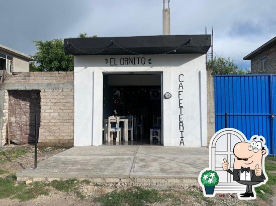 Cafetería El ORNITO, San Agustín del Maíz - Opiniones del restaurante