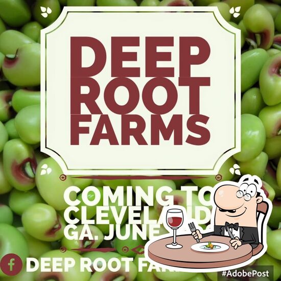 Deep Root Farm - Menú del restaurante, precios y reseñas