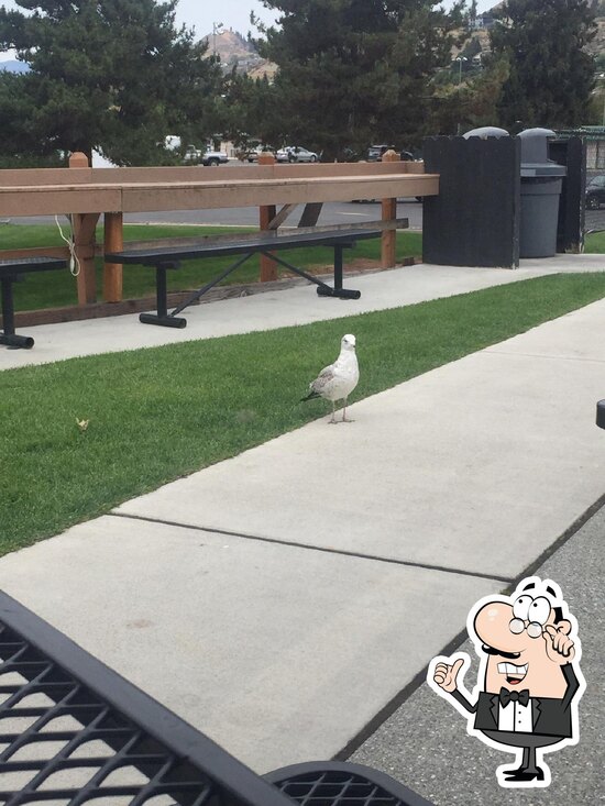 Lakeview Drive In, Chelan - Restaurant menu, prices and reviews
