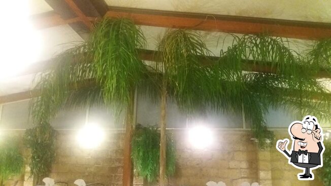La Rucola, Bari - Restaurant menu, prices and reviews