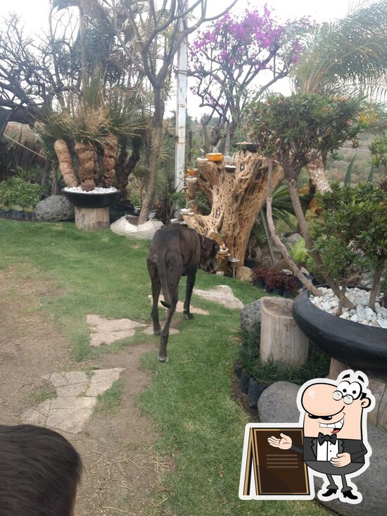 Fabrica de Mezcal El Amate pub & bar, Atlixco - Restaurant reviews