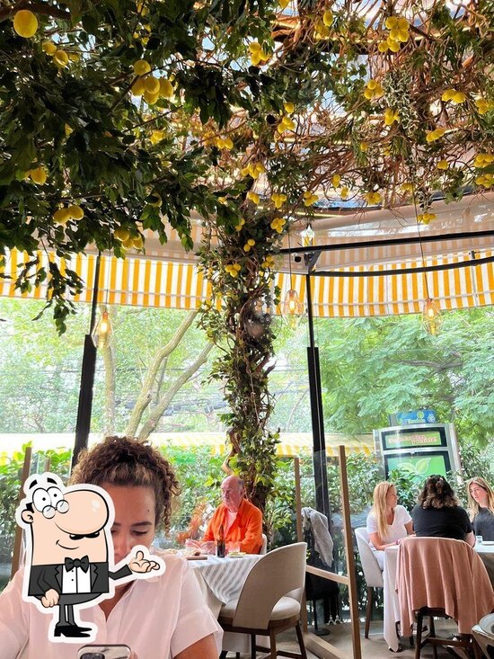 Carta del restaurante Mandolina Polanco, Ciudad del México