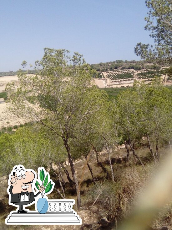 Treetops Bar and Restuarant in Pinar de Campoverde