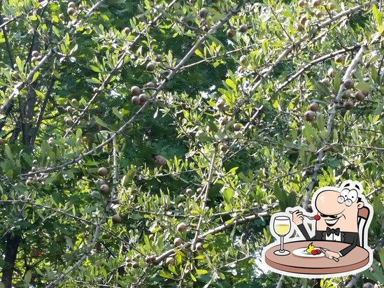 Restorant Pylli i Levanit, Levan - Restaurant menu, prices and reviews