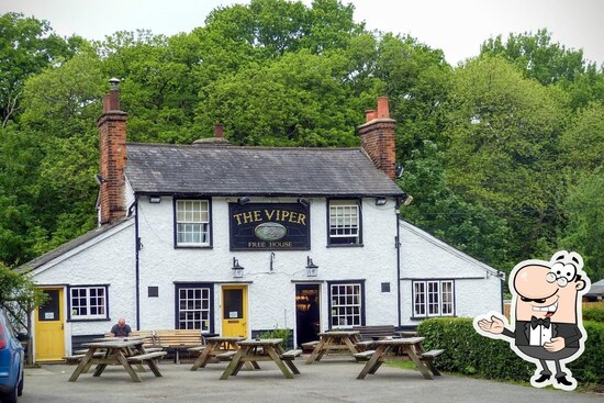 Menu at The Viper Mill Green pub & bar, Ingatestone