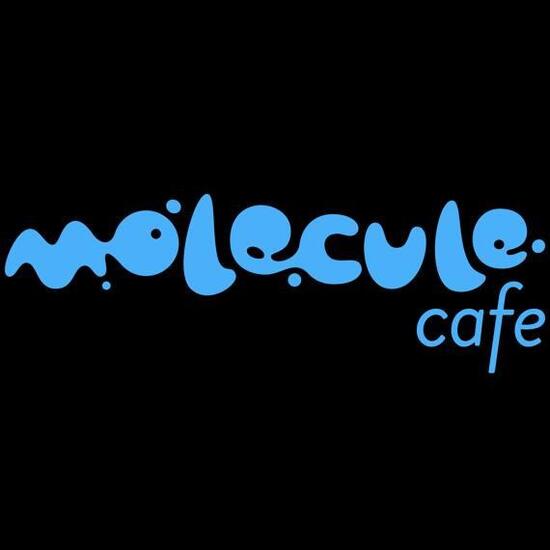 Menu at Molecule Cafe, Wrocław