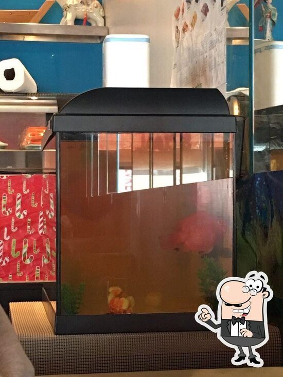 Shogi Sushi, Vaughan - Restaurant menu, prices and reviews