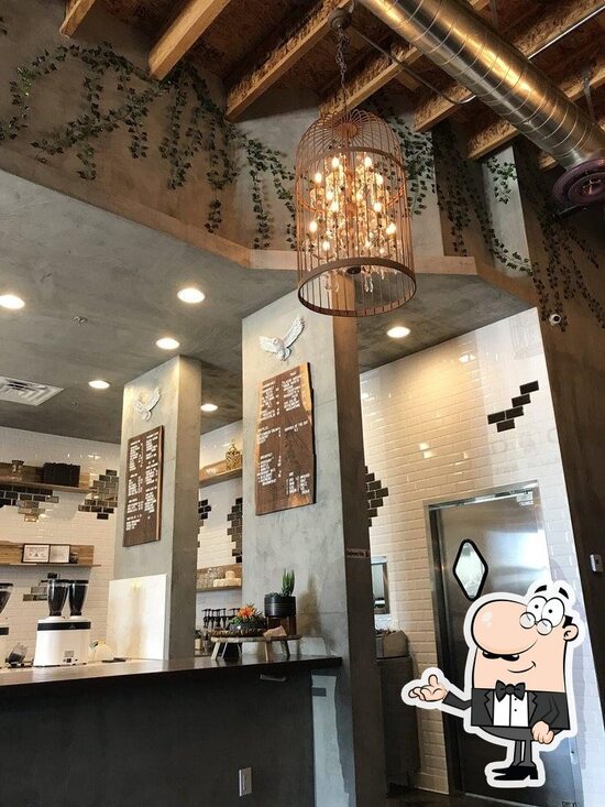 Bad Owl Coffee Roasters coffee house, Las Vegas – menu, prices & reviews