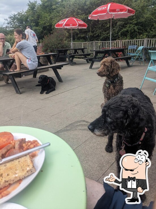Stonebridge Lock Waterside Cafe (Dog friendly), London - Restaurant ...