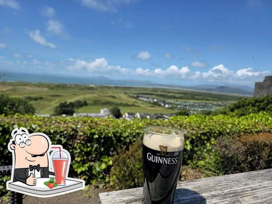 The Plas Restaurant, Harlech - Restaurant menu, prices and reviews