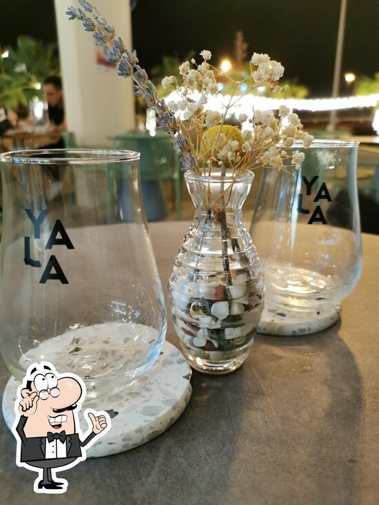 YALA Kombucha pub & bar, Abu Dhabi - Restaurant reviews