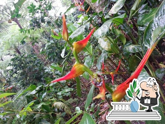 Restaurante Chamaki, Ciudad de Cuetzalan - Opiniones del restaurante