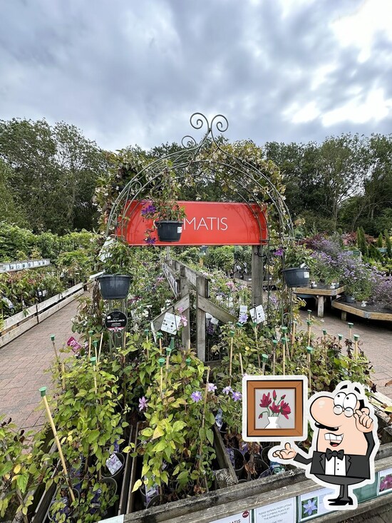 Perrywood Garden Centre, Tiptree - Restaurant menu, prices and reviews