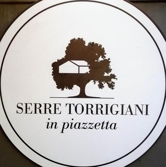 Menu at Serre Torrigiani in Piazzetta pub & bar, Florence