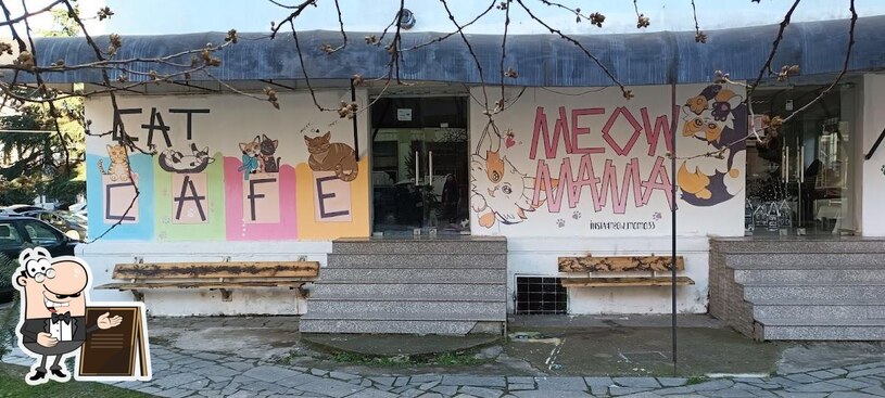 CatCafe "MEOW MAMA". КотоКафе "МЯУ МАМА", Batumi - Restaurant reviews