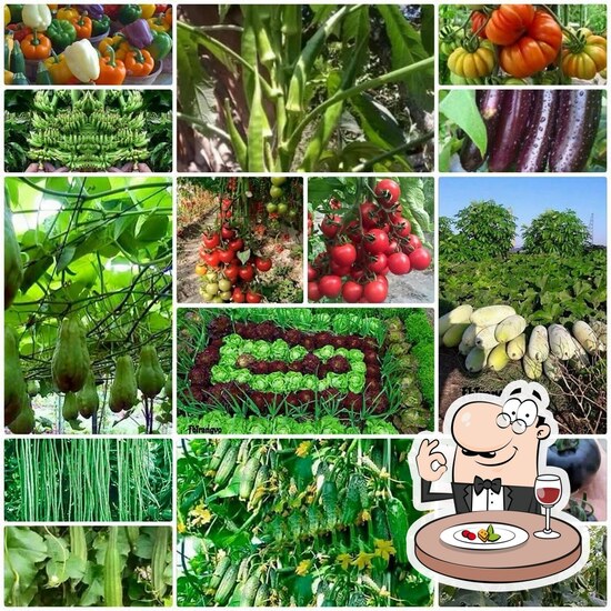 VARSHA GREEN FRUIT AND VEGETABLES, Vadodara - Restaurant menu, prices ...