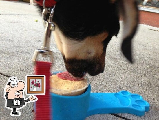 Fido To Go Dog Food Truck, Chicago - Restaurant menu, prices and reviews