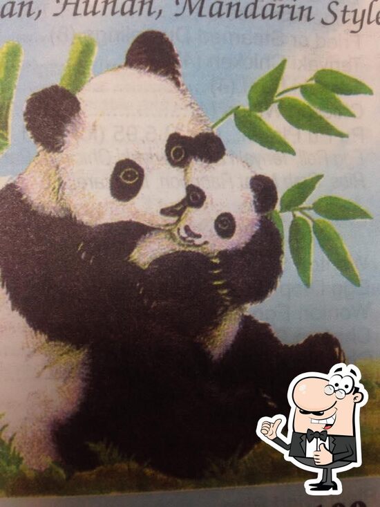 Panda China Arlington Menu – Panda China Restaurant Restaurant Food ...