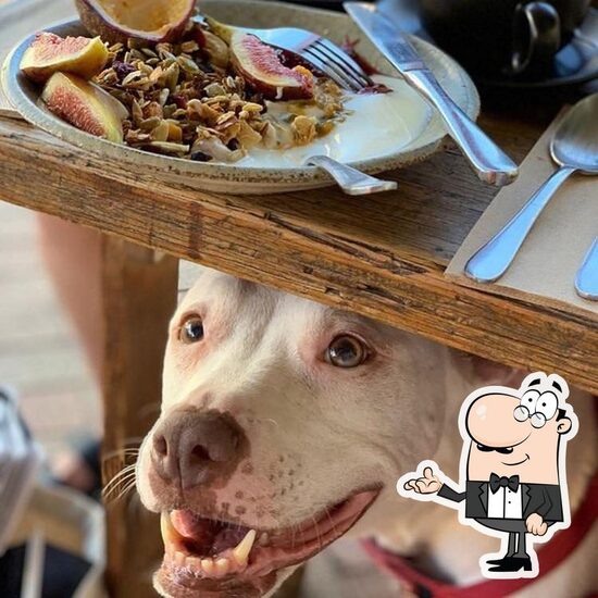 The Little Kitchen, Coogee - Restaurant menu, prices and reviews