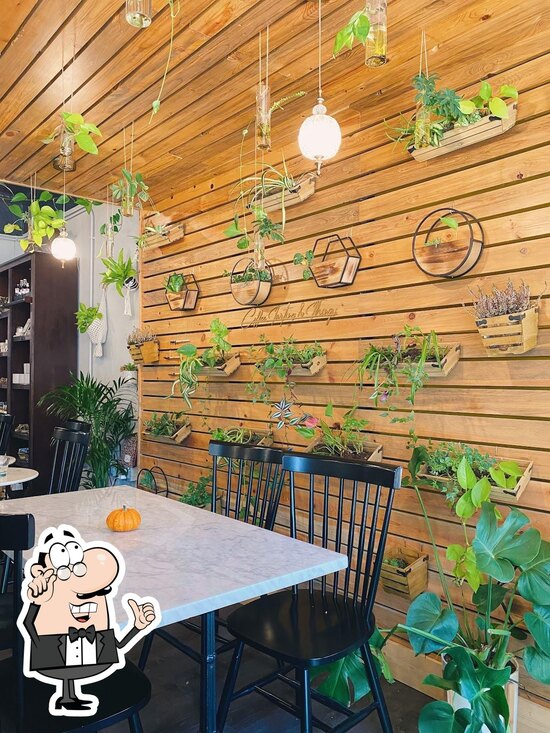 Ivy Cafe, Clayton - Menú del restaurante, precios y reseñas