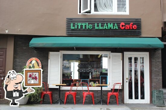 Little Llama Cafe, Mussoorie - Restaurant menu, prices and reviews