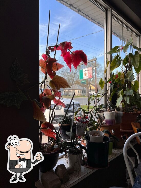 Cafe Amalia, Welland - Restaurant menu, prices and reviews