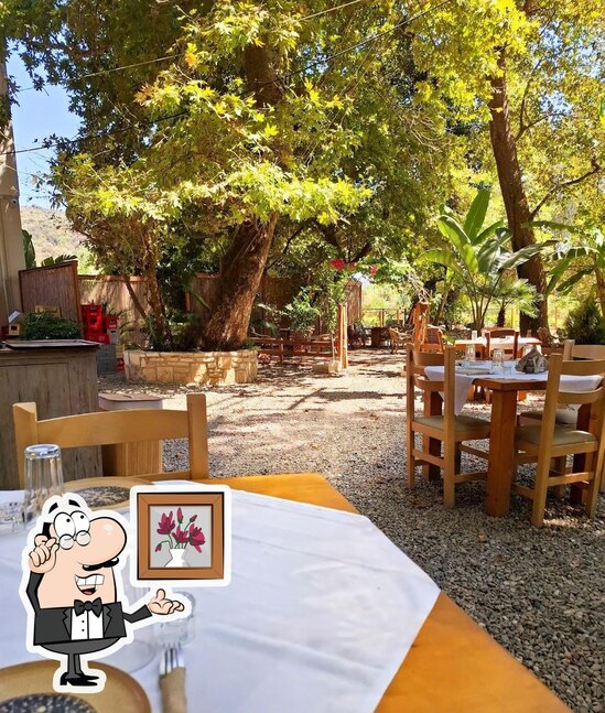Drakiana restaurant, Agia Marina - Restaurant menu, prices and reviews