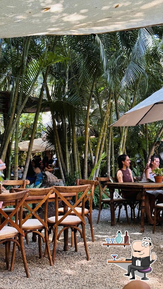 Mamá Gaia, Acapulco - Menú del restaurante, precios y reseñas
